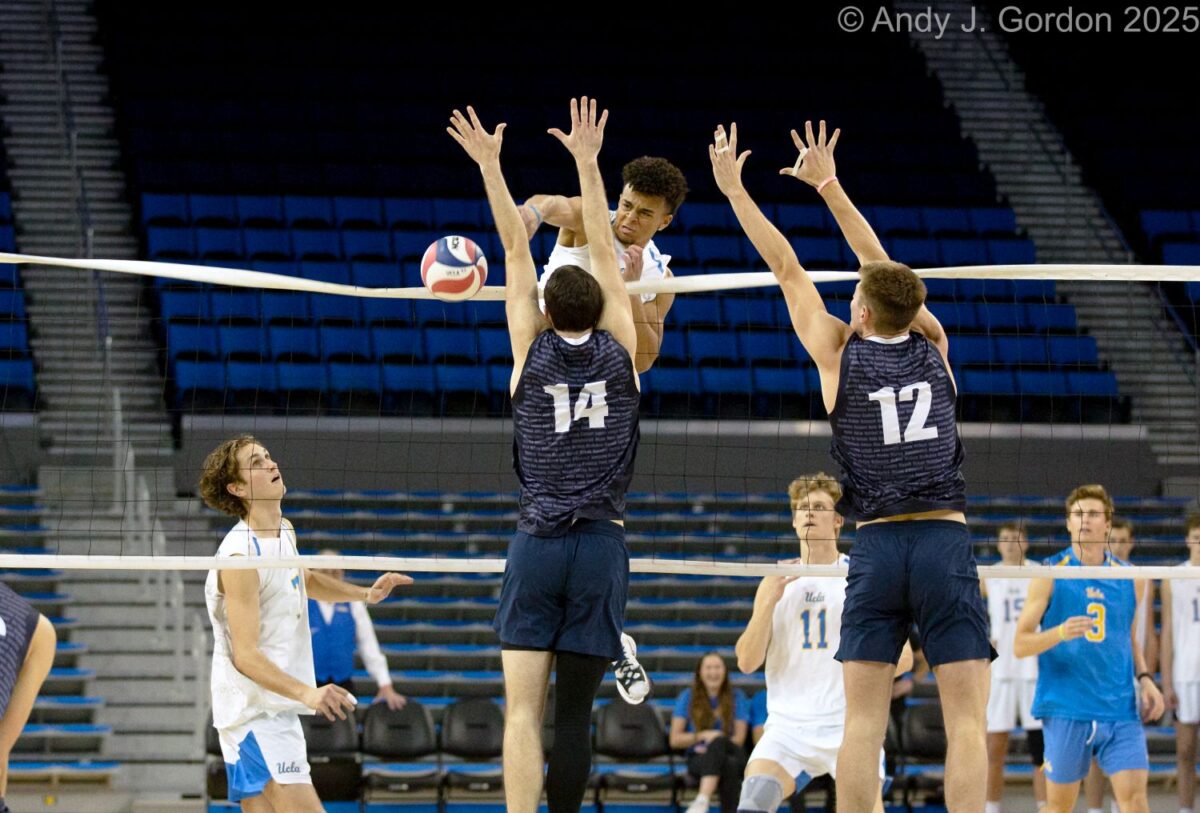 Photo Gallery: NCAA Men’s Volleyball: UCLA vs Pepperdine at Pauley ...